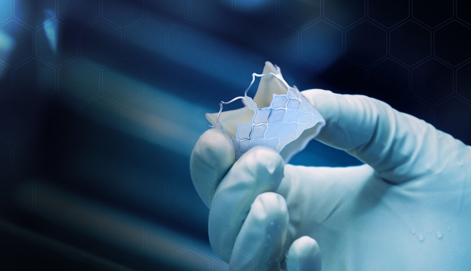 Innovative Heart Valve Technologies | Anteris Technologies